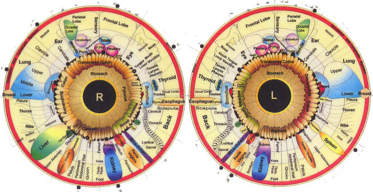 Iridology